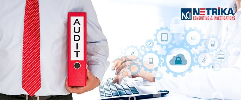 Information Security Audit -Netrika